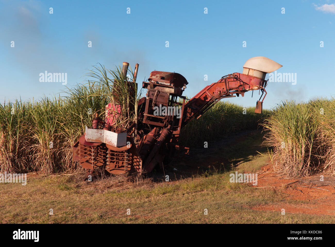 Sugarcane Cutting Machine