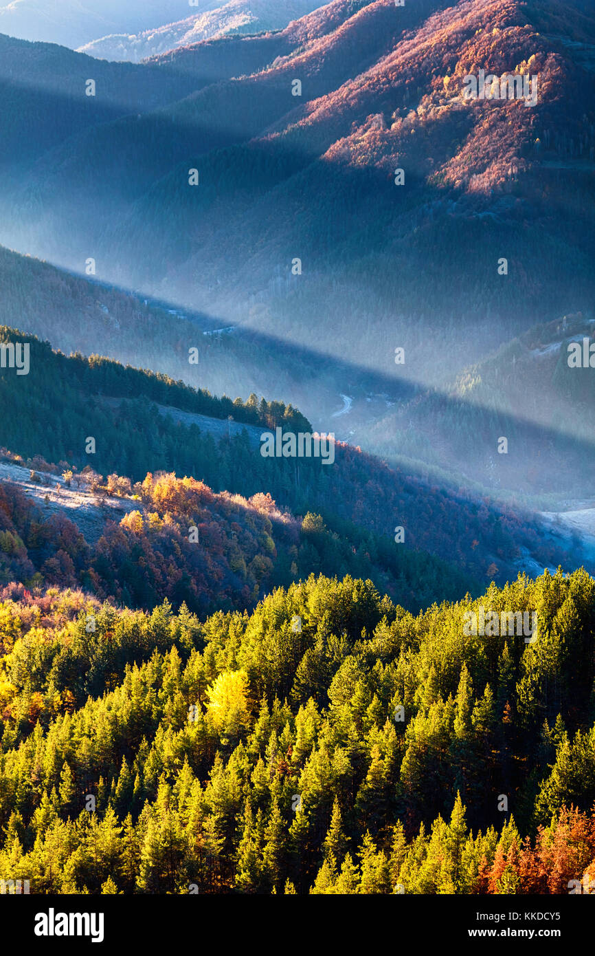Picturesque mountain defile at morning Stock Photo - Alamy