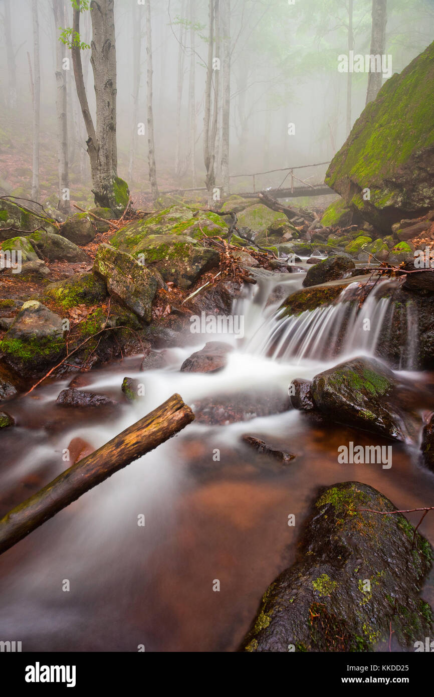 River bank with moss covered rocks Stock Photo - Alamy