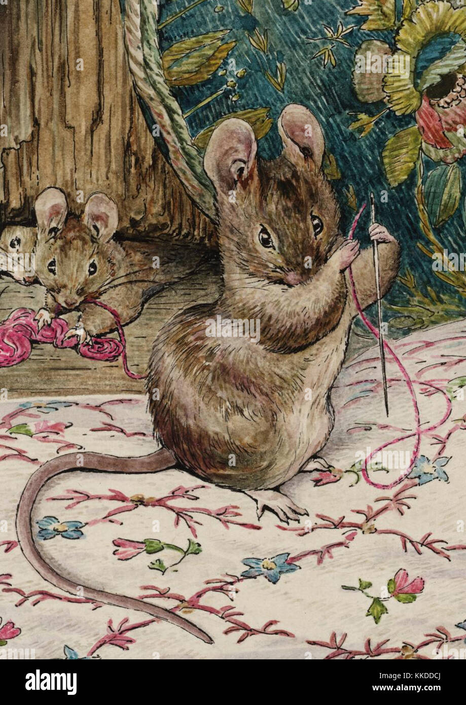 Old English Rabbit High Resolution Stock Photography and Images - Alamy