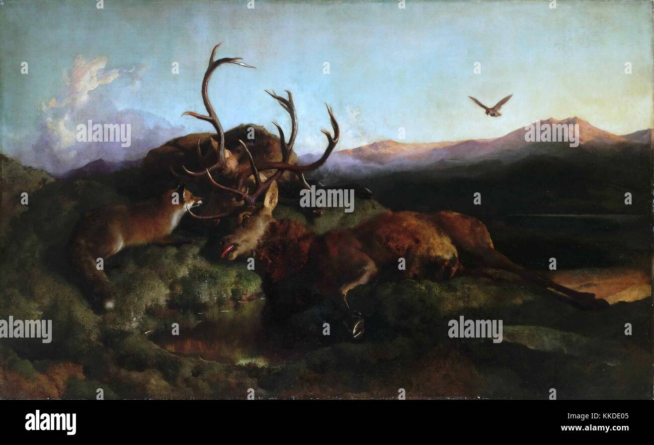 Stag and fox Stock Photo - Alamy