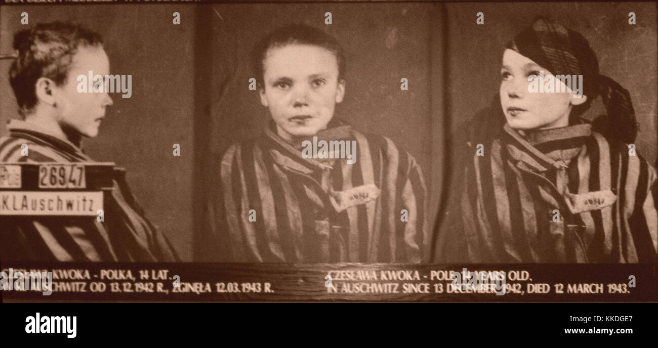 Kwoka hi-res stock photography and images - Alamy