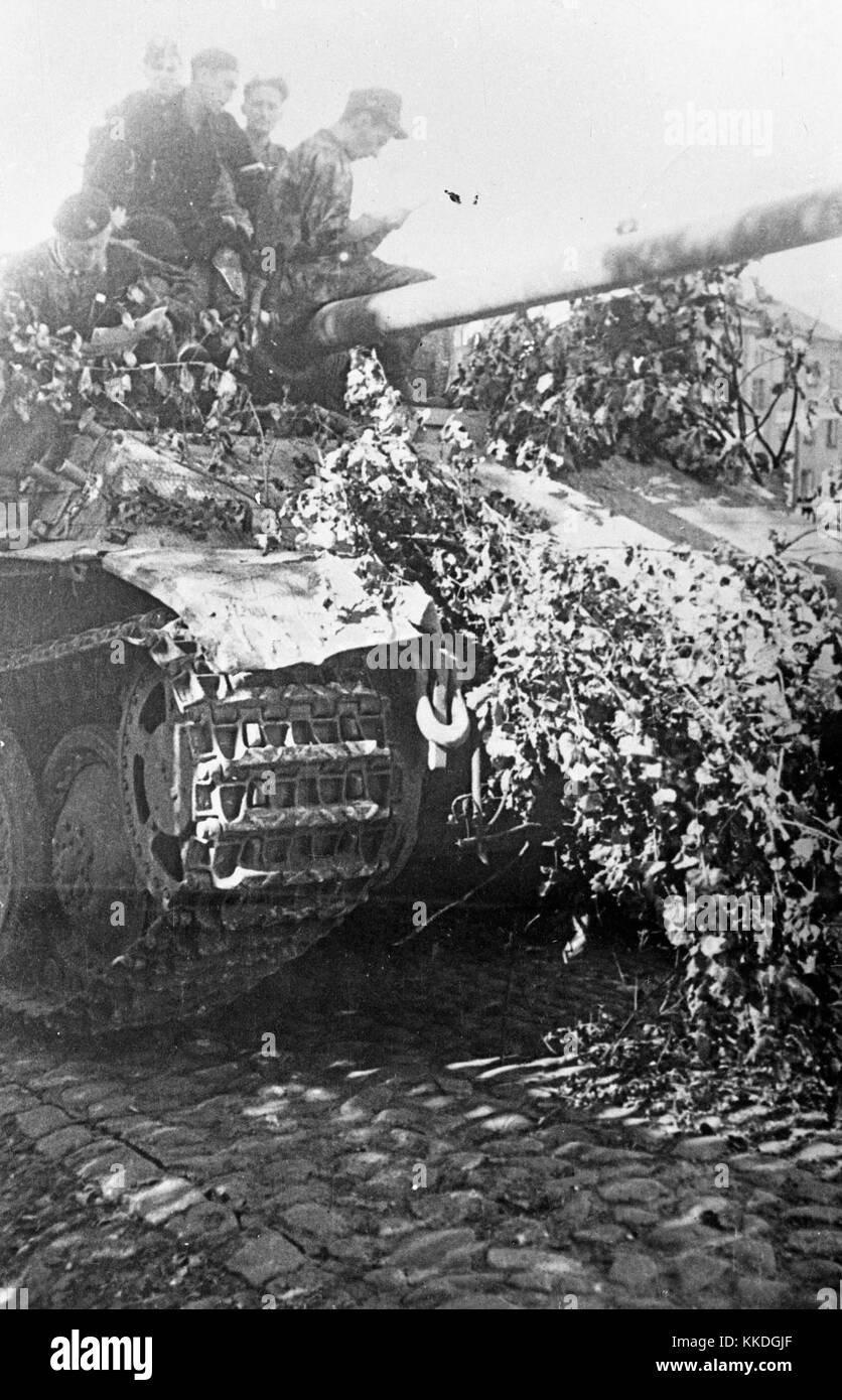 War platoon photo Black and White Stock Photos & Images - Alamy