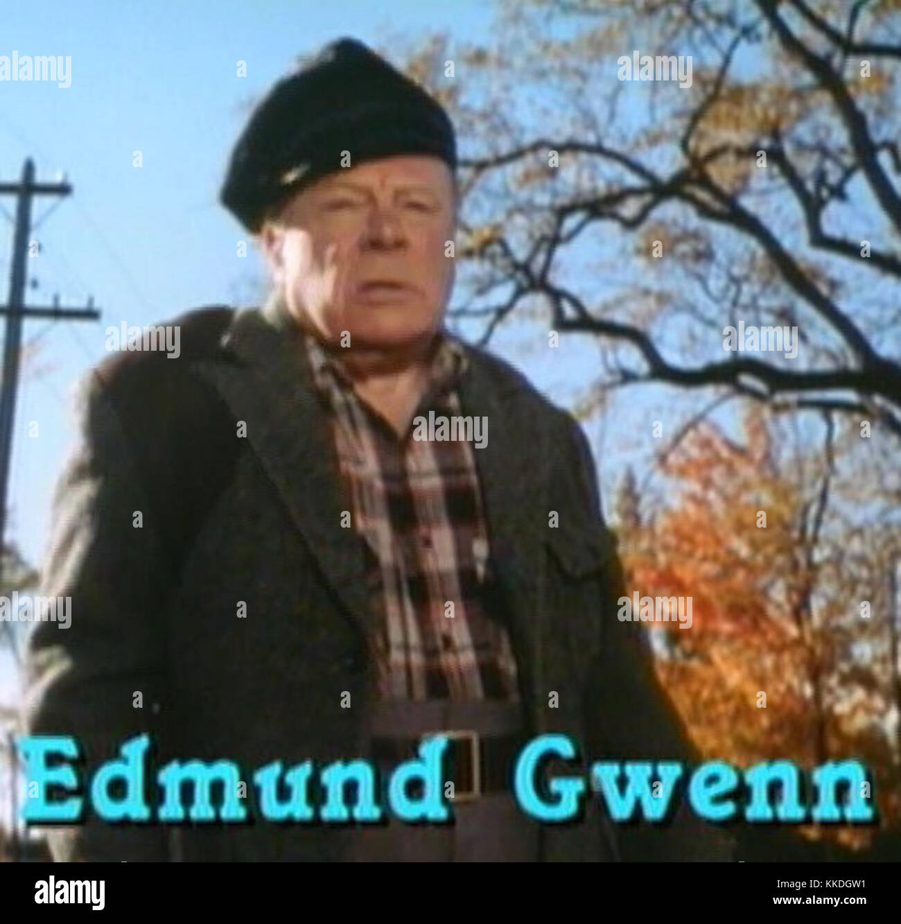 Edmund Gwenn in The Trouble With Harry trailer Stock Photo - Alamy