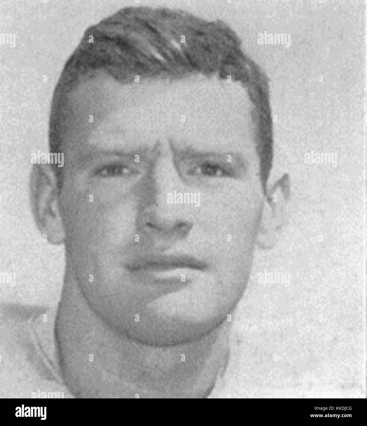 Junior wren hi-res stock photography and images - Alamy