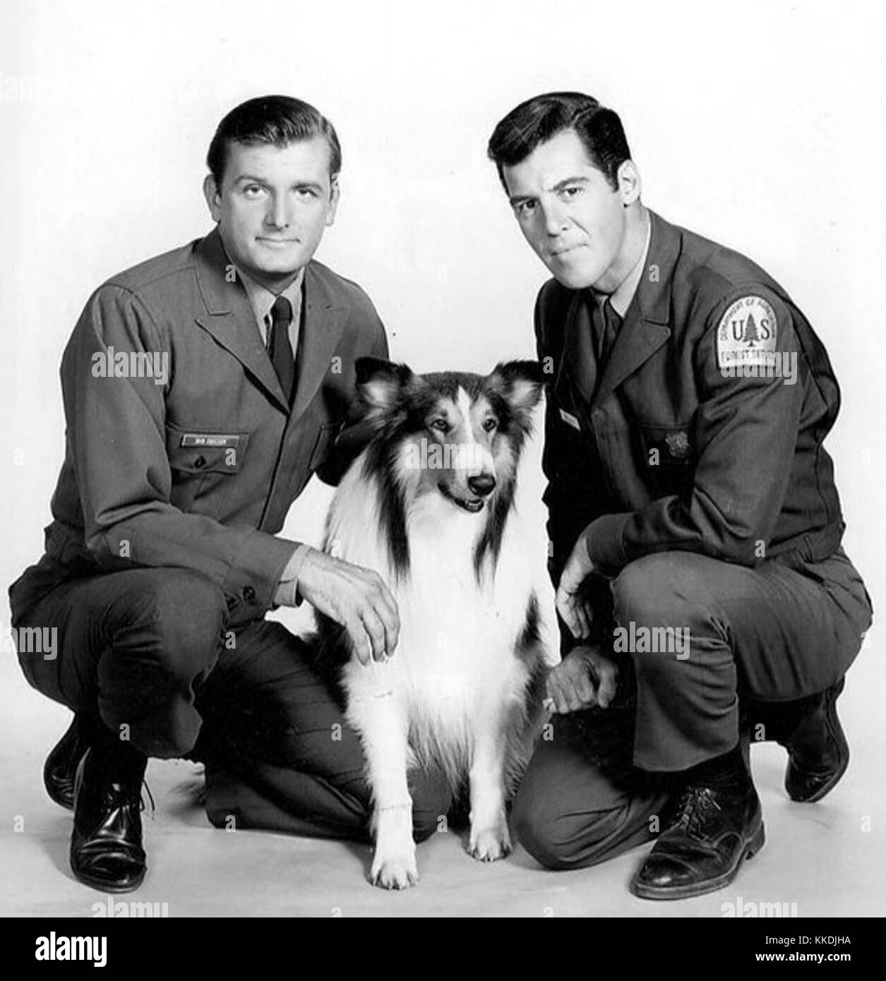 Lassie Black and White Stock Photos & Images - Alamy