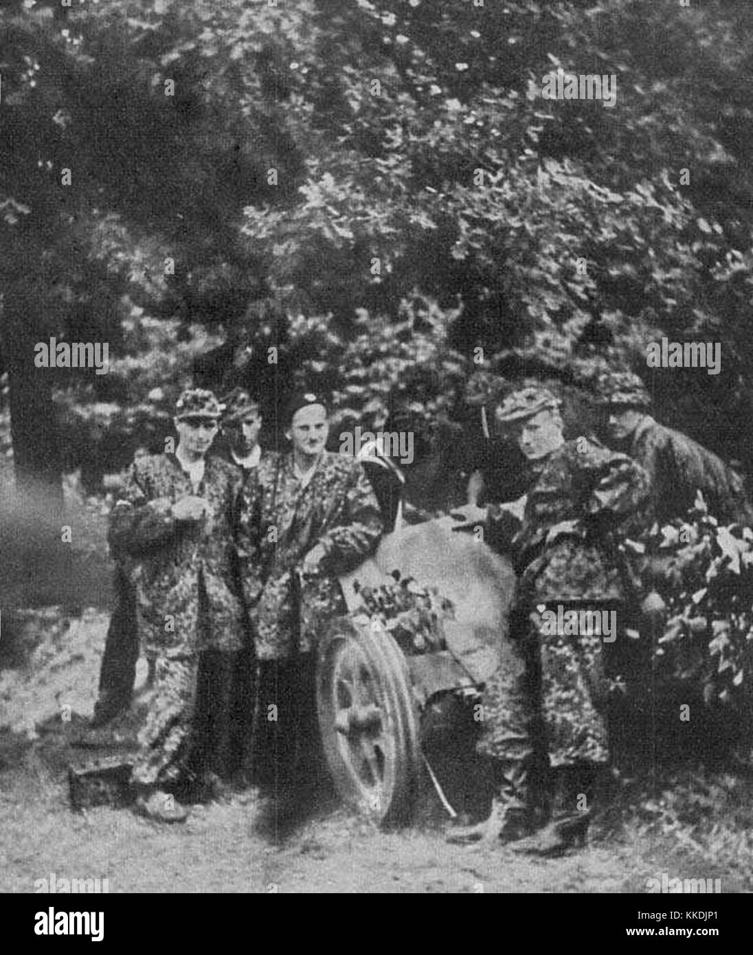 Lesnik hi-res stock photography and images - Alamy