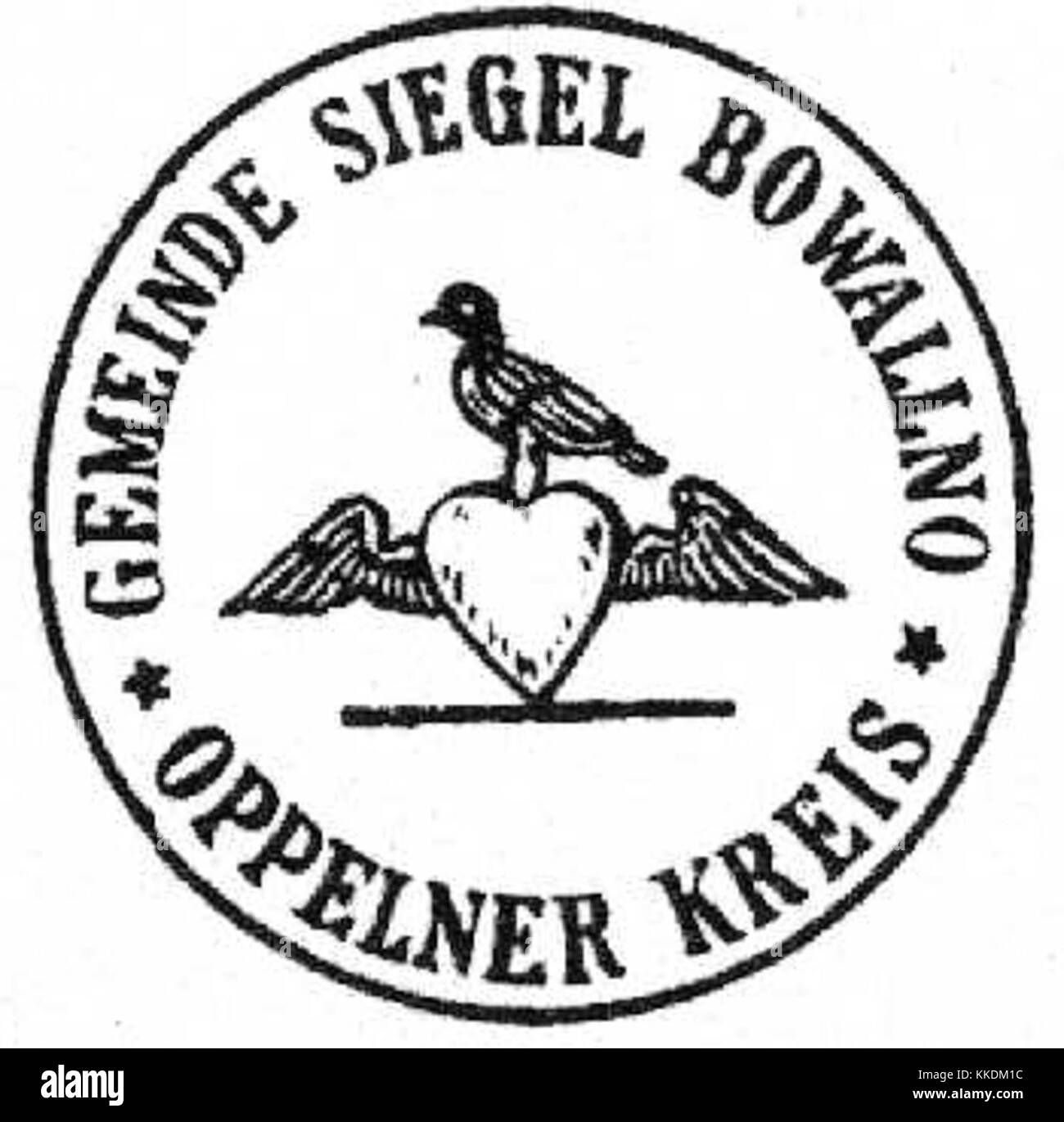 Herb miraa or khat Black and White Stock Photos & Images - Alamy