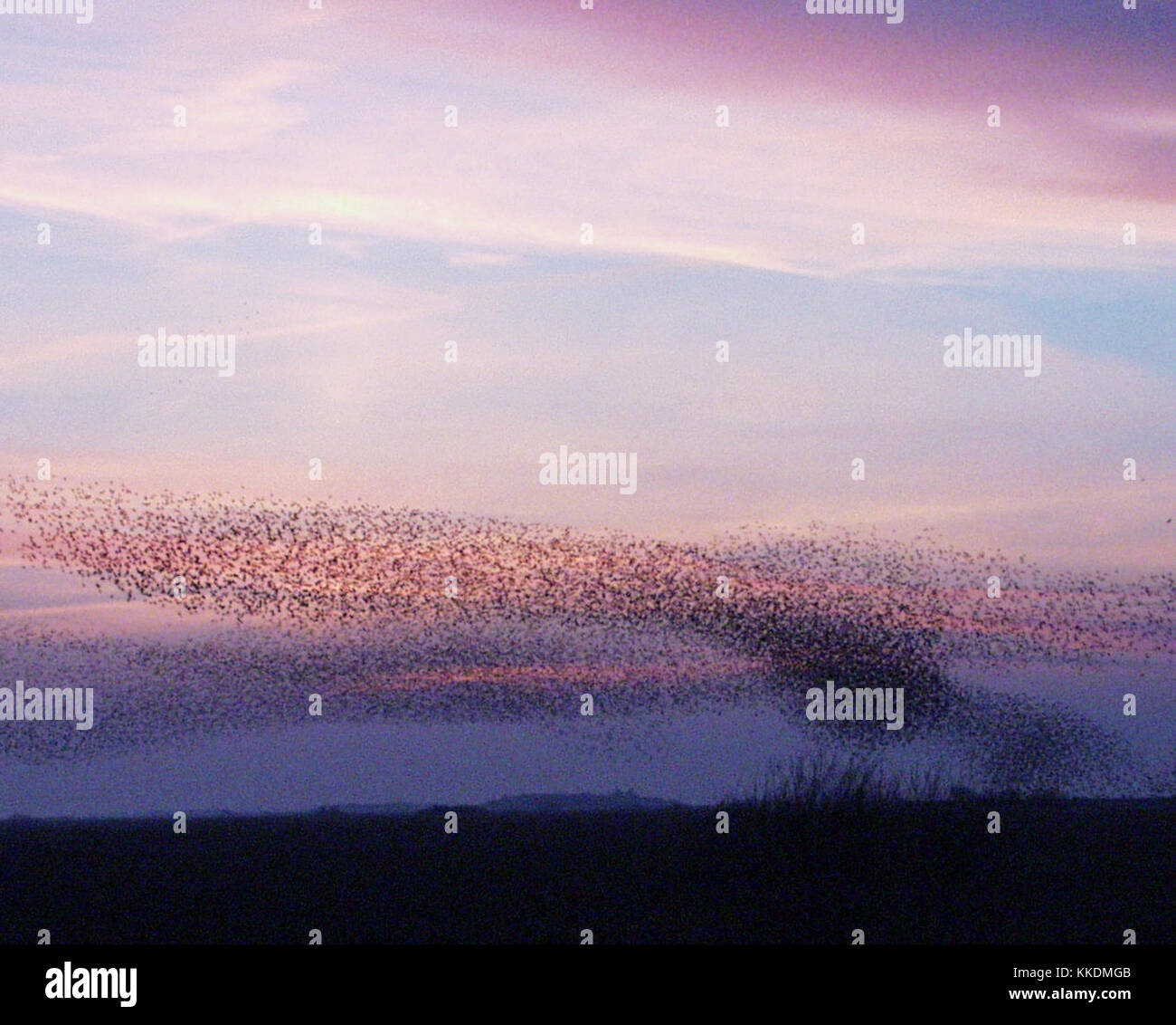 Sort sol pdfnet2 Stock Photo - Alamy