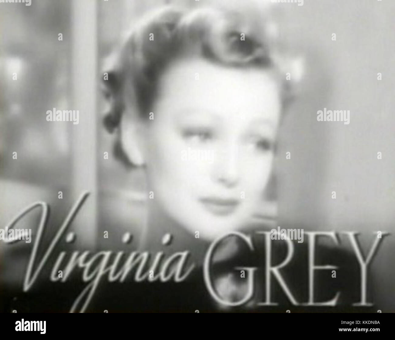 Virginia Grey High Resolution Stock Photography and Images - Alamy