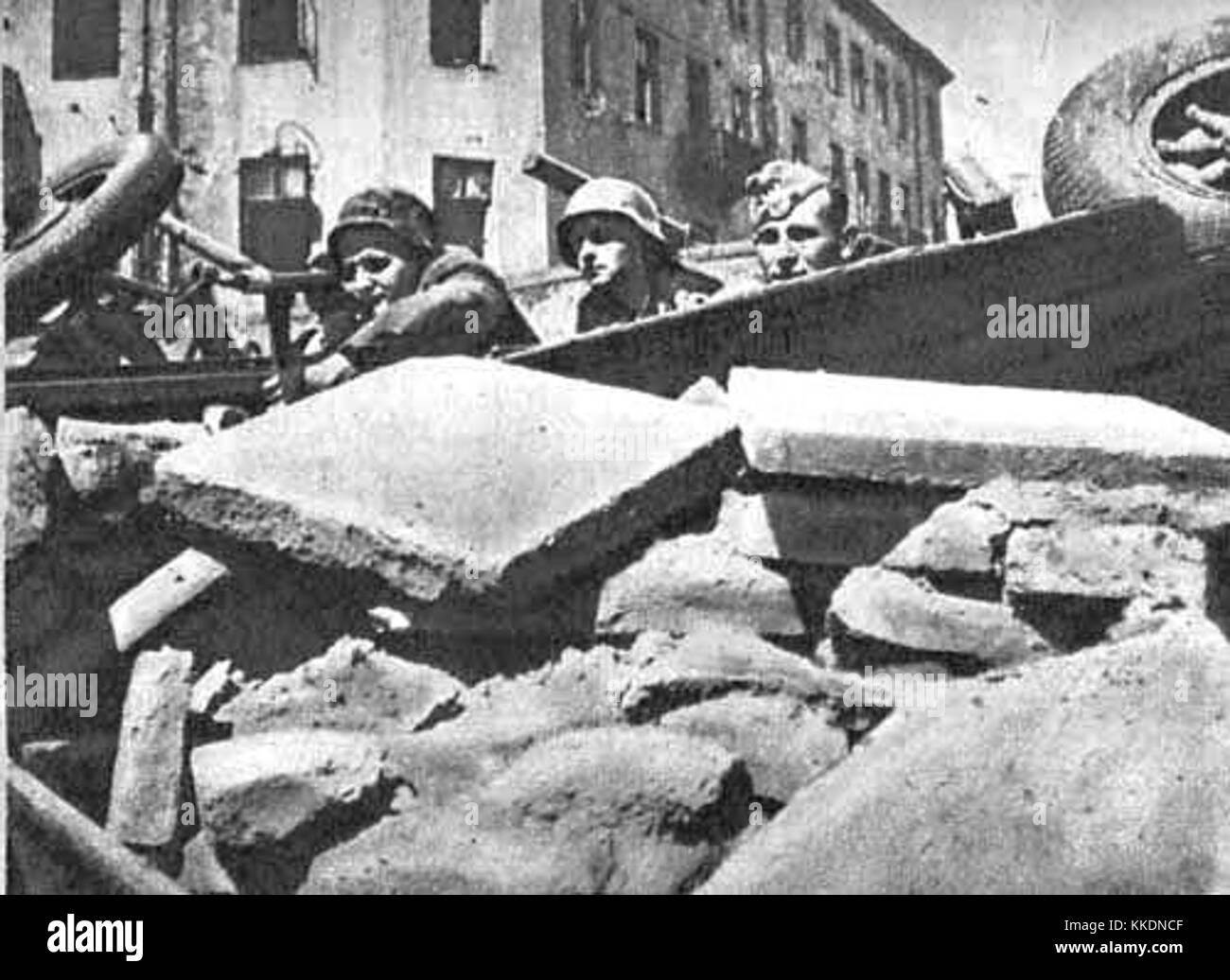 Brym hi-res stock photography and images - Alamy