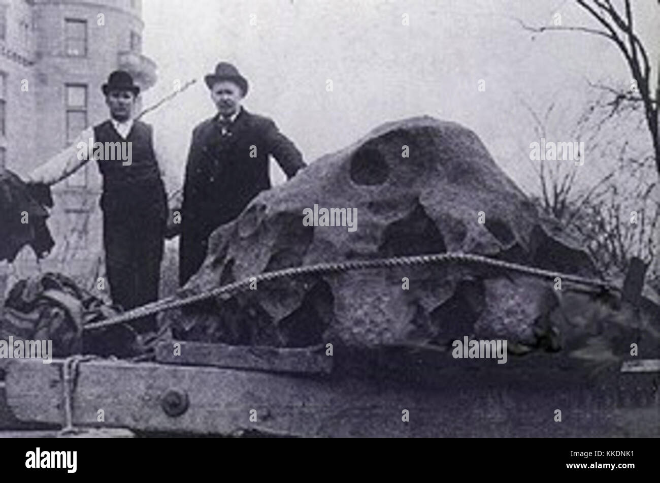 Willamette meteorite hi-res stock photography and images - Alamy