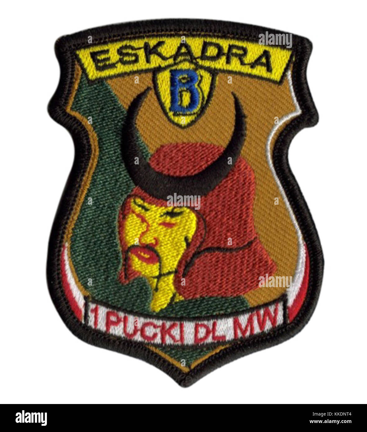 The emblem of the 1st Puck Air Squadron (Pucki Dywizjon Lotniczy) is ...