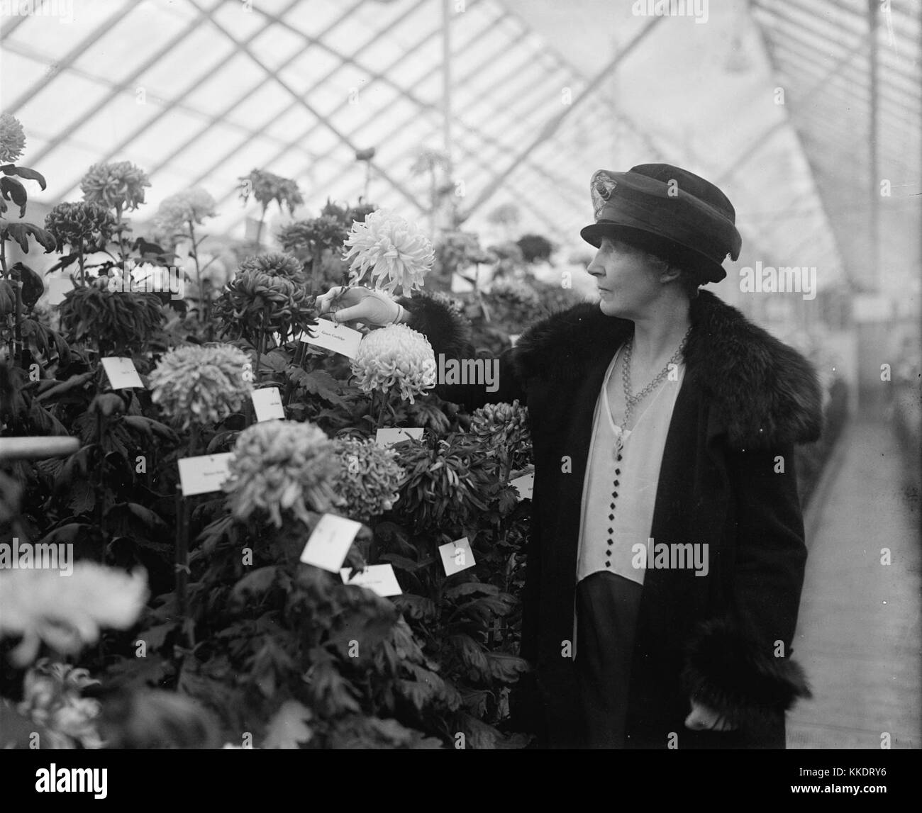 8 nov Black and White Stock Photos & Images - Alamy