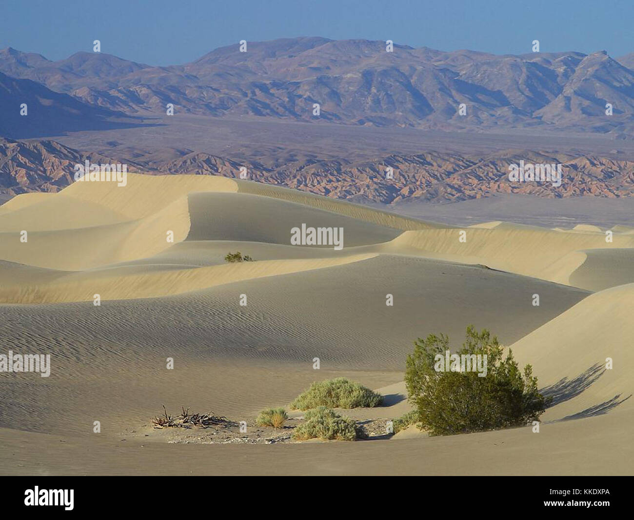 Desert 16 bg 061403 Stock Photo - Alamy