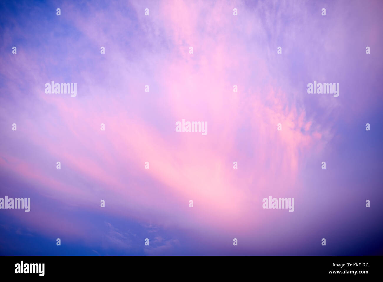 Colorful sunset sky with pink clouds in a twilight blue sky in a full ...