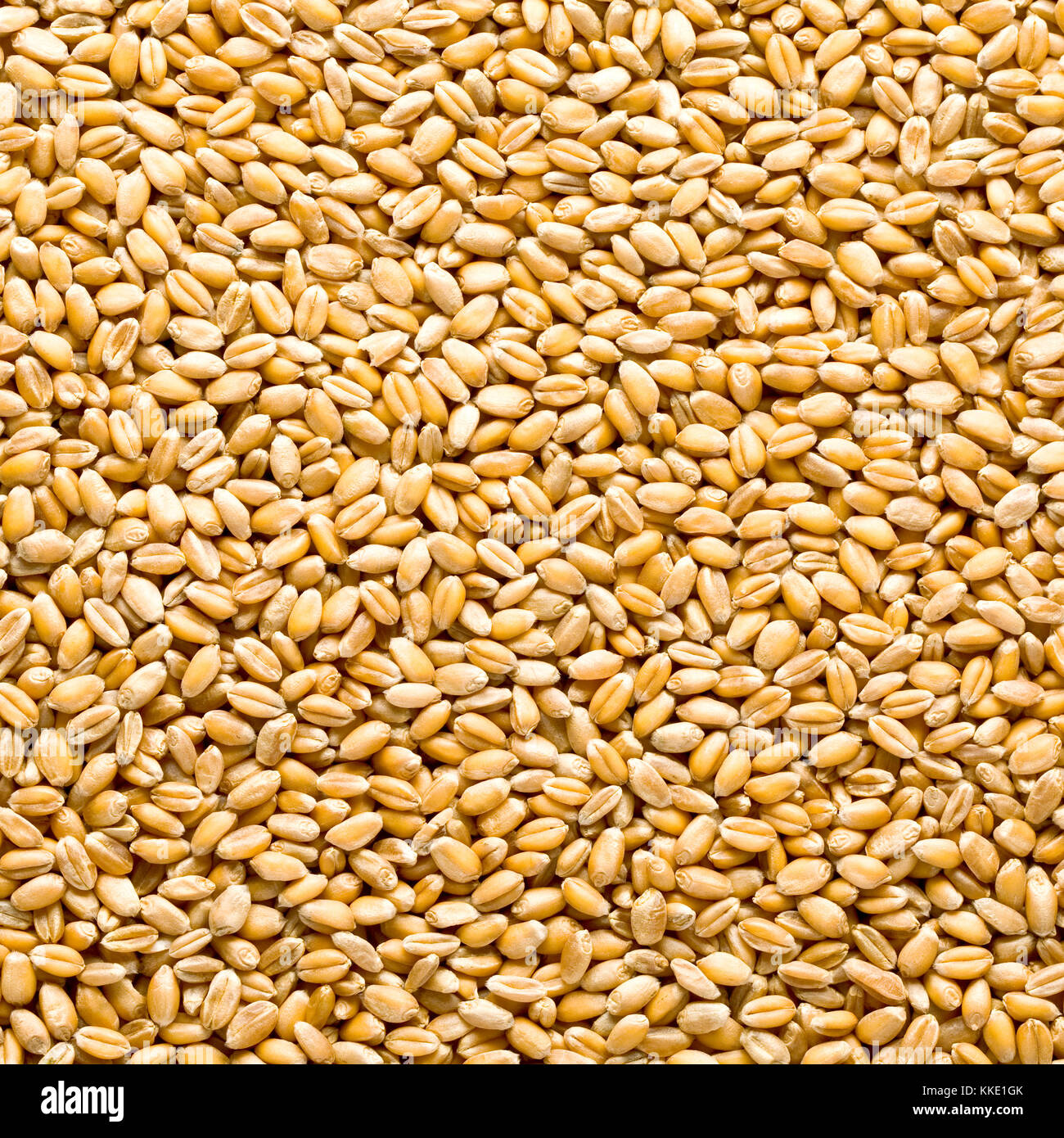 Pod wheat hi-res stock photography and images - Alamy