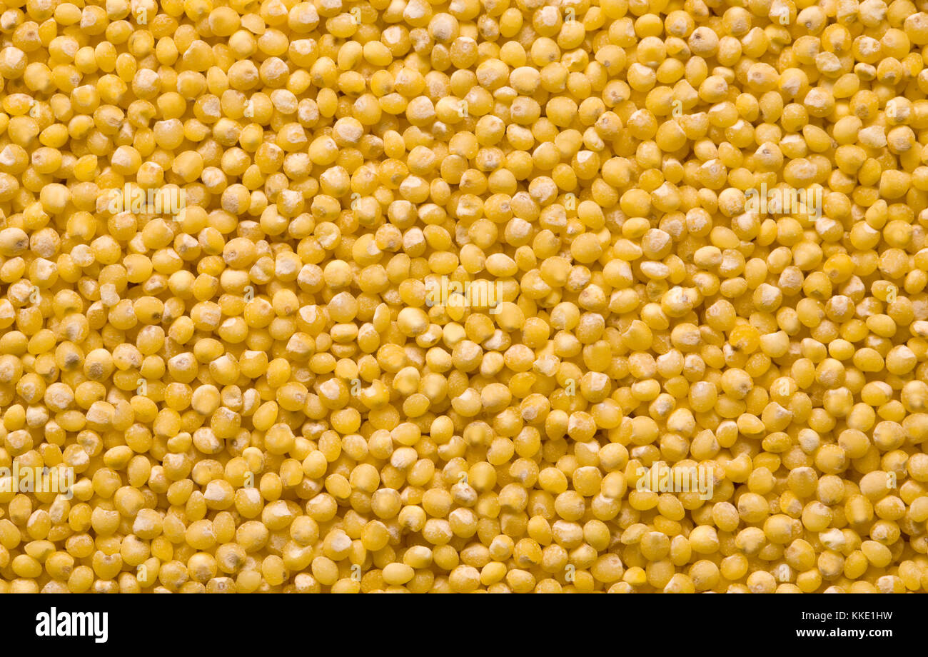 Millet Texture, Background close up Stock Photo - Alamy