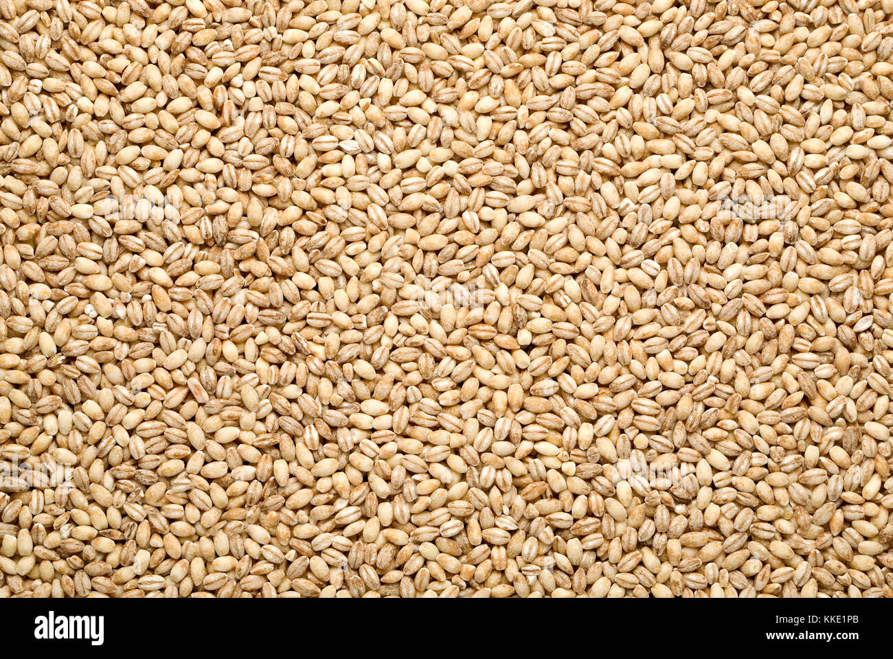 barley background, overview top Stock Photo - Alamy