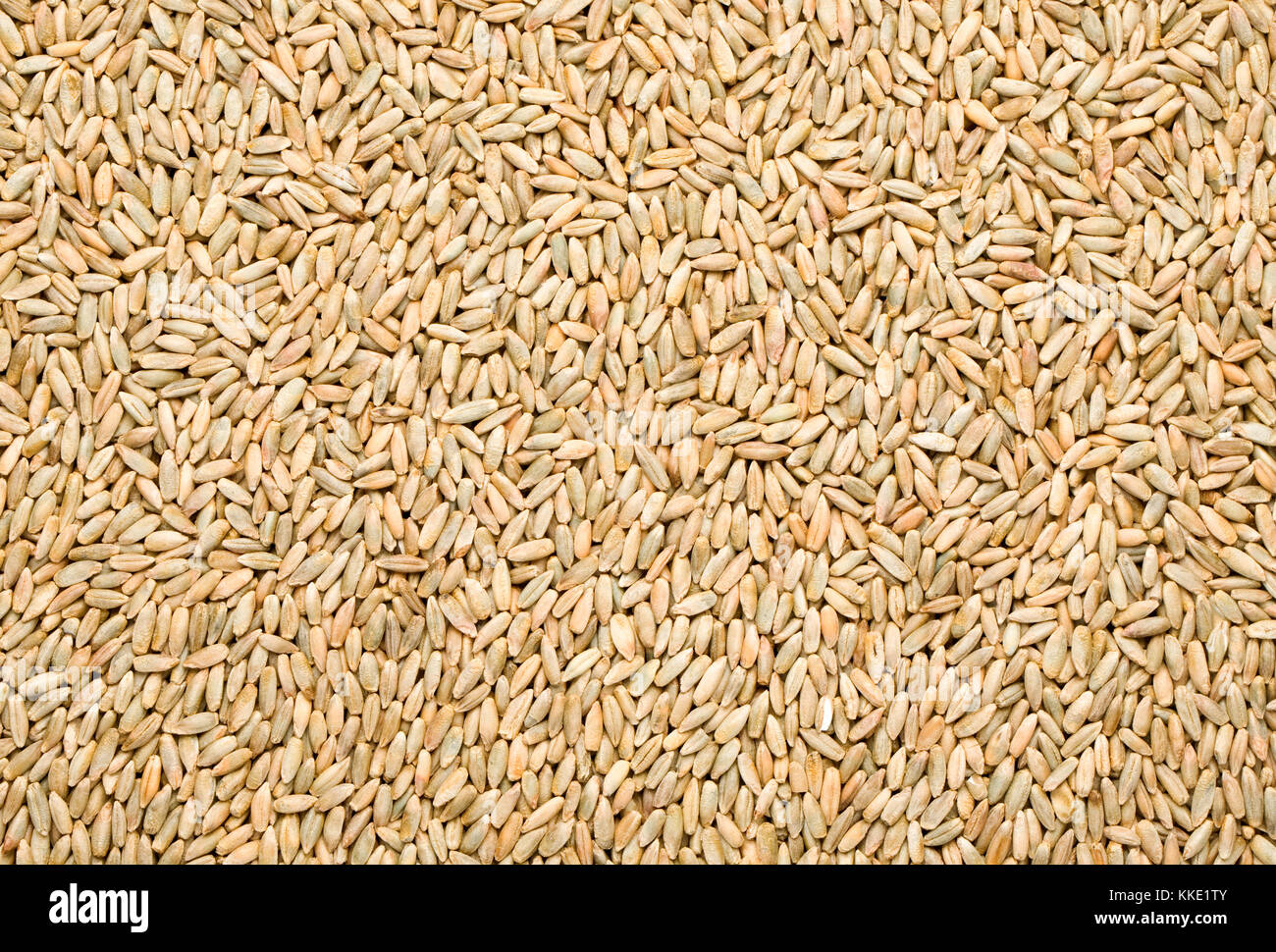 rye background view from the top Stock Photo - Alamy
