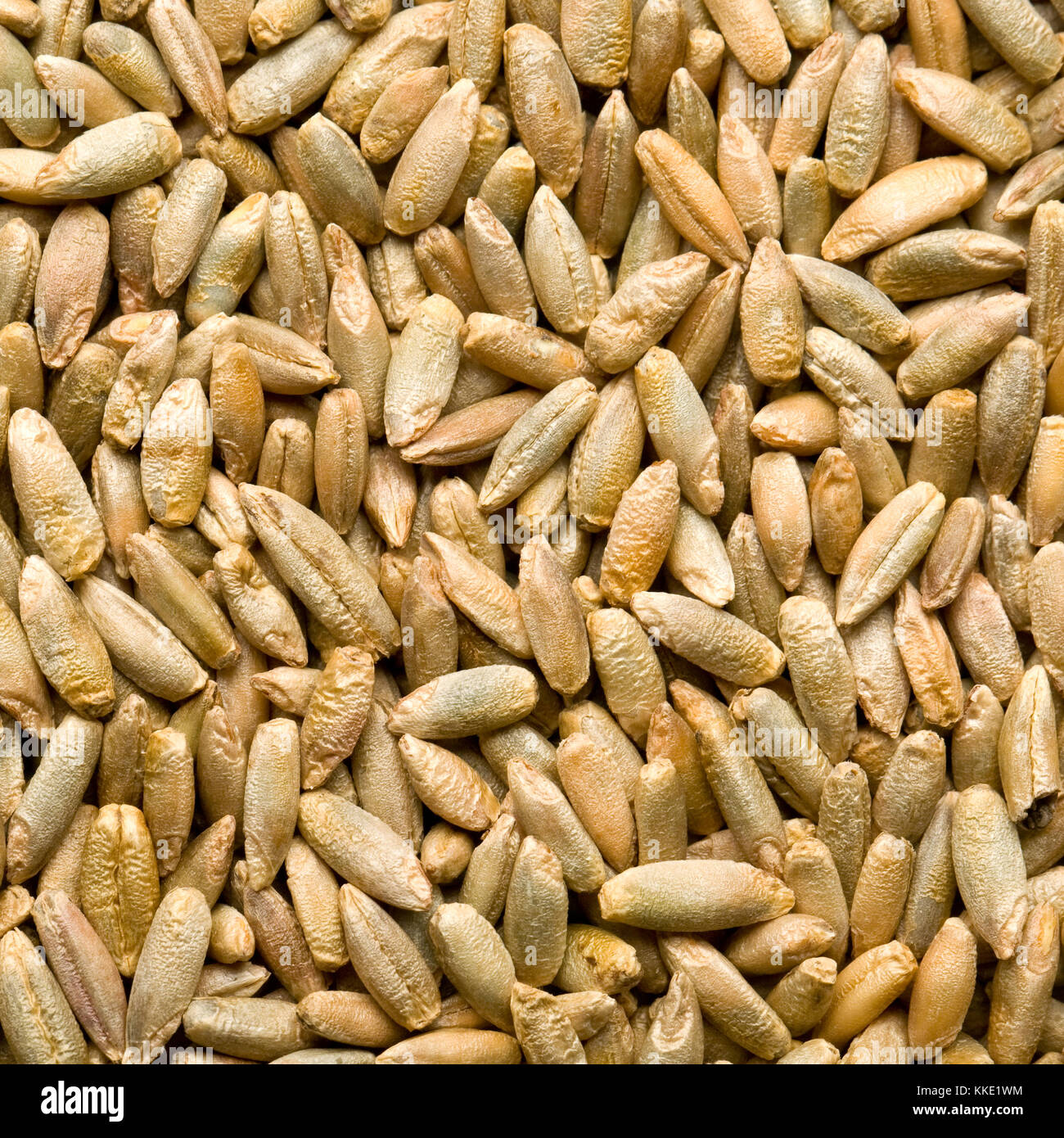 rye background view from the top close up Stock Photo - Alamy