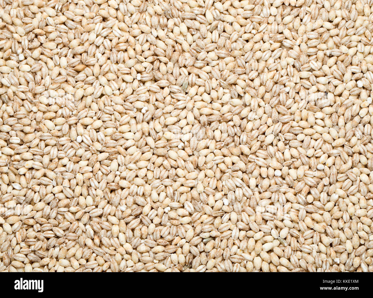 barley background, overview top Stock Photo - Alamy