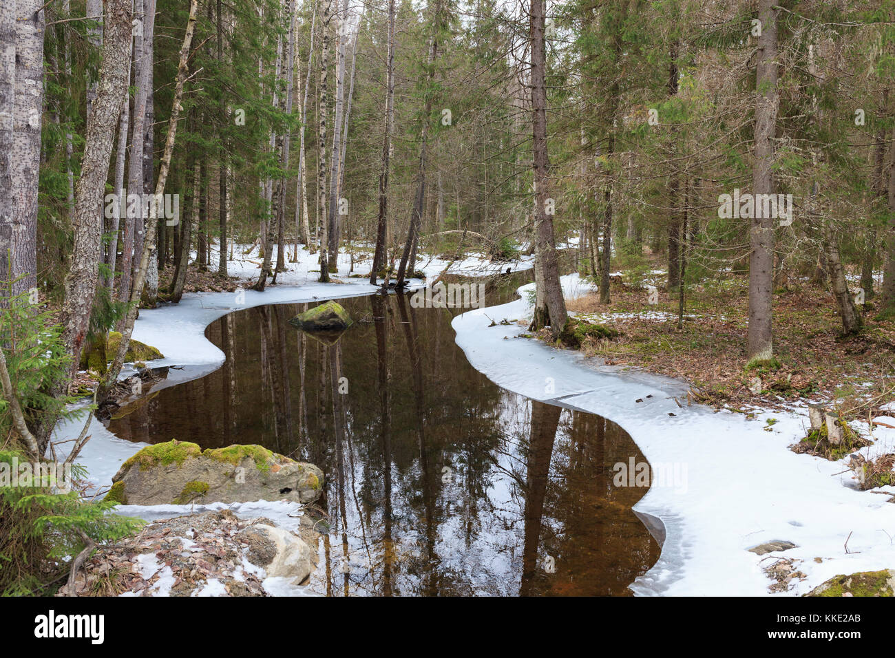 Partially frozen forest river Stock Photo - Alamy