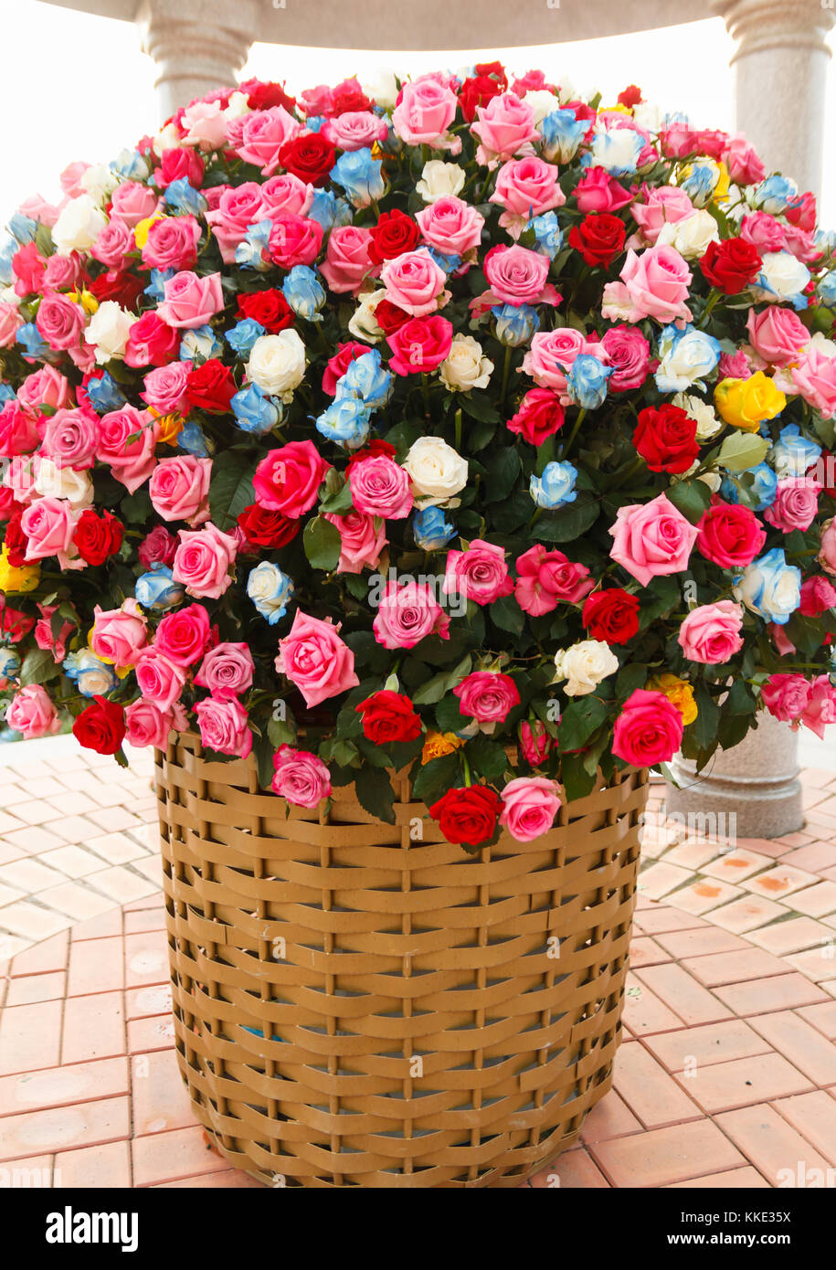 Variety of colours hi-res stock photography and images - Alamy