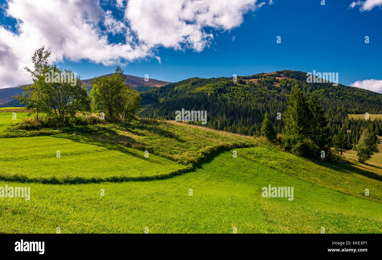 grassy field in mountainous rural area. beautiful countryside scenery ...