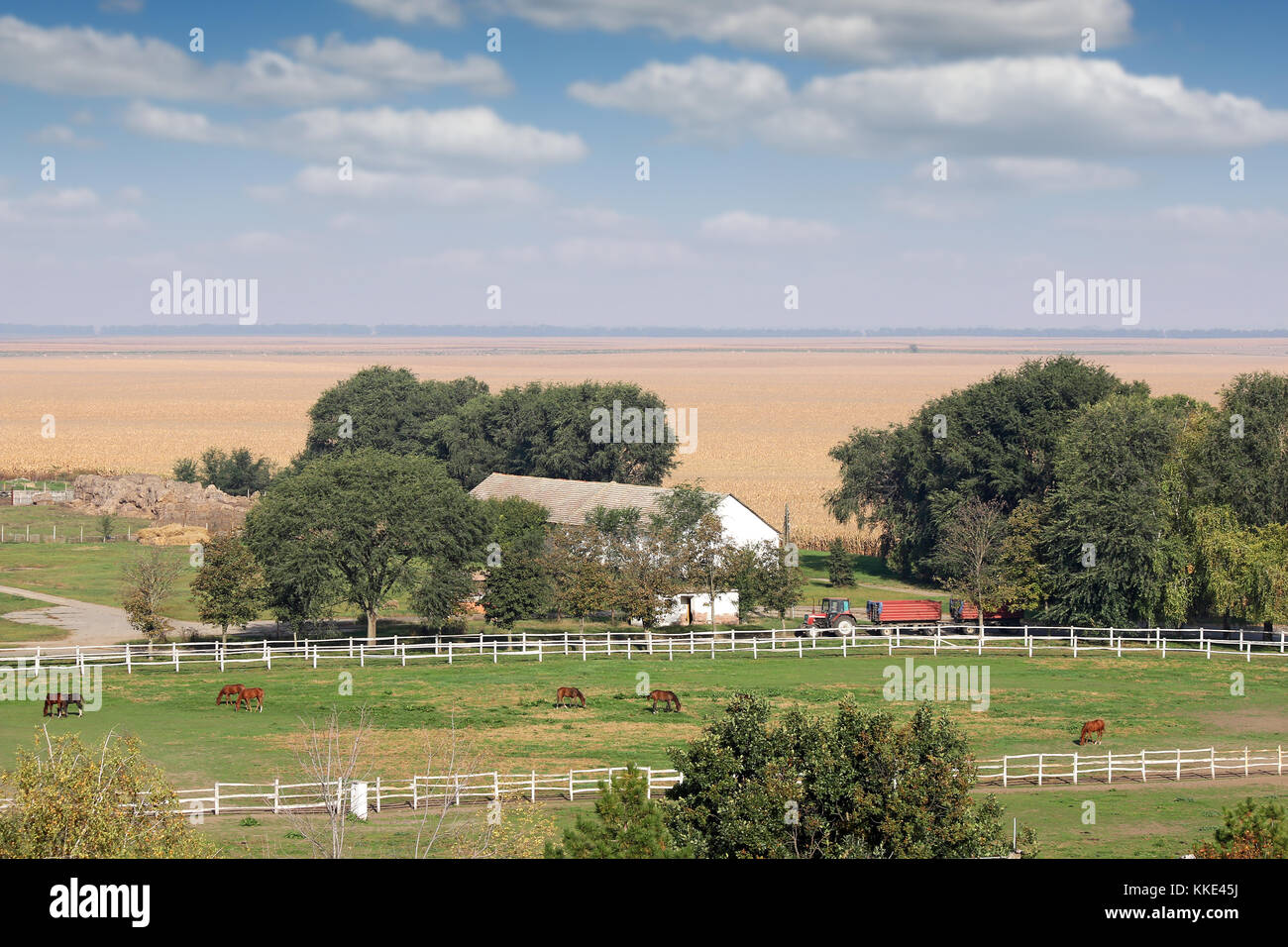Country ranch scene hi-res stock photography and images - Alamy