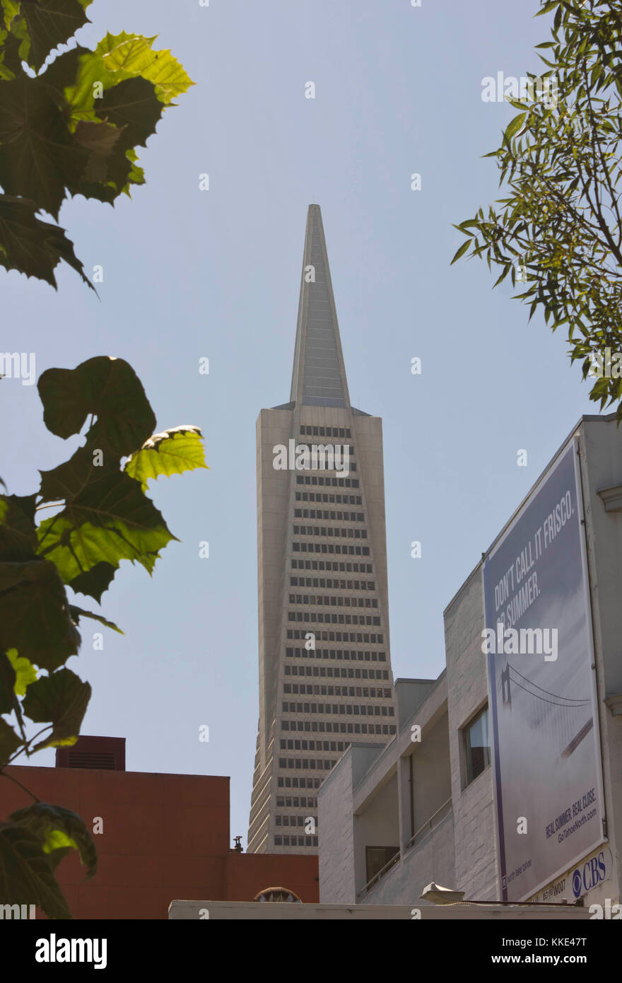 SAN FRANCISCO, USA - AUG 12 2013: Architectural detail of The ...