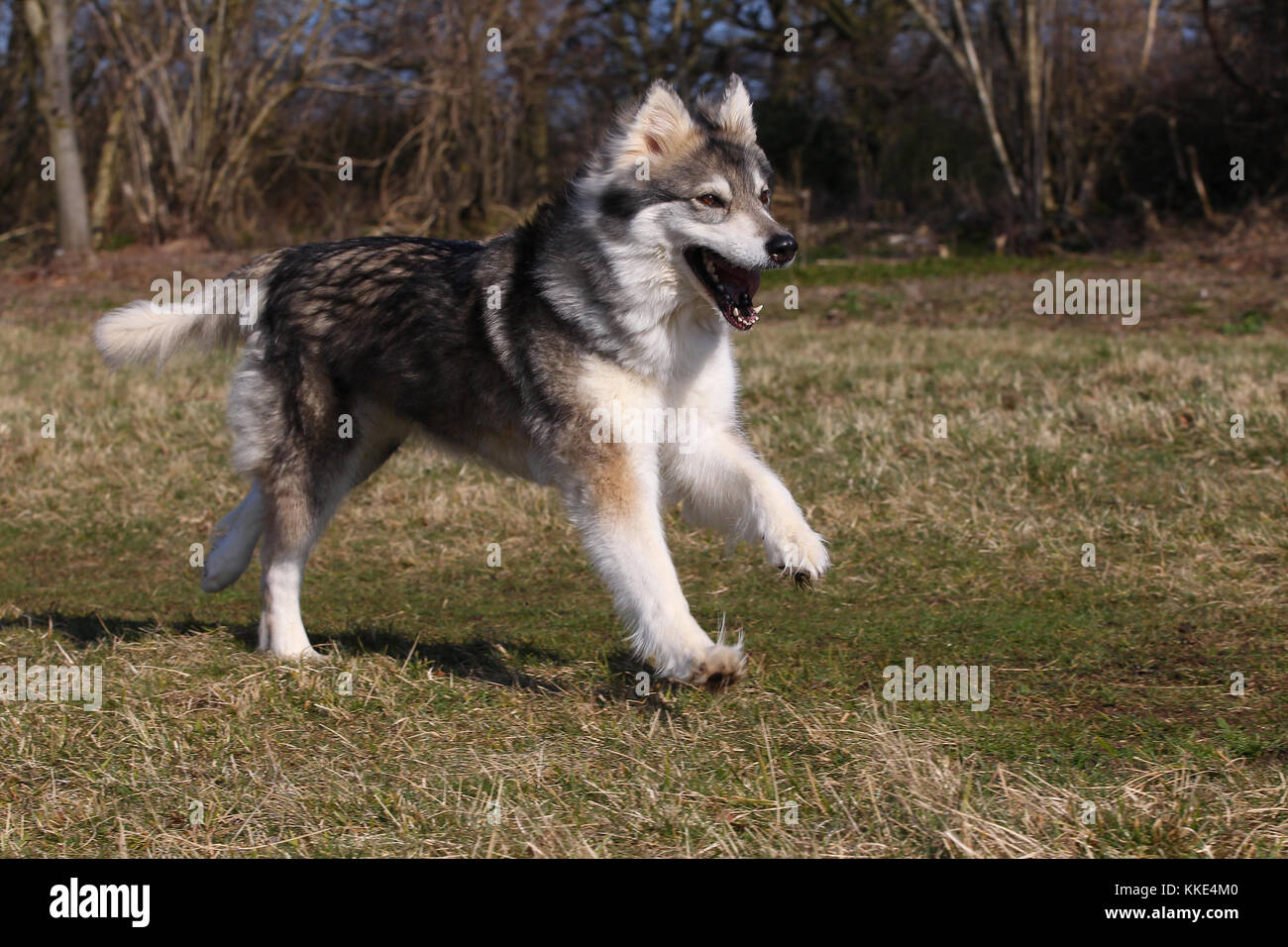 Utonagan High Resolution Stock Photography and Images - Alamy