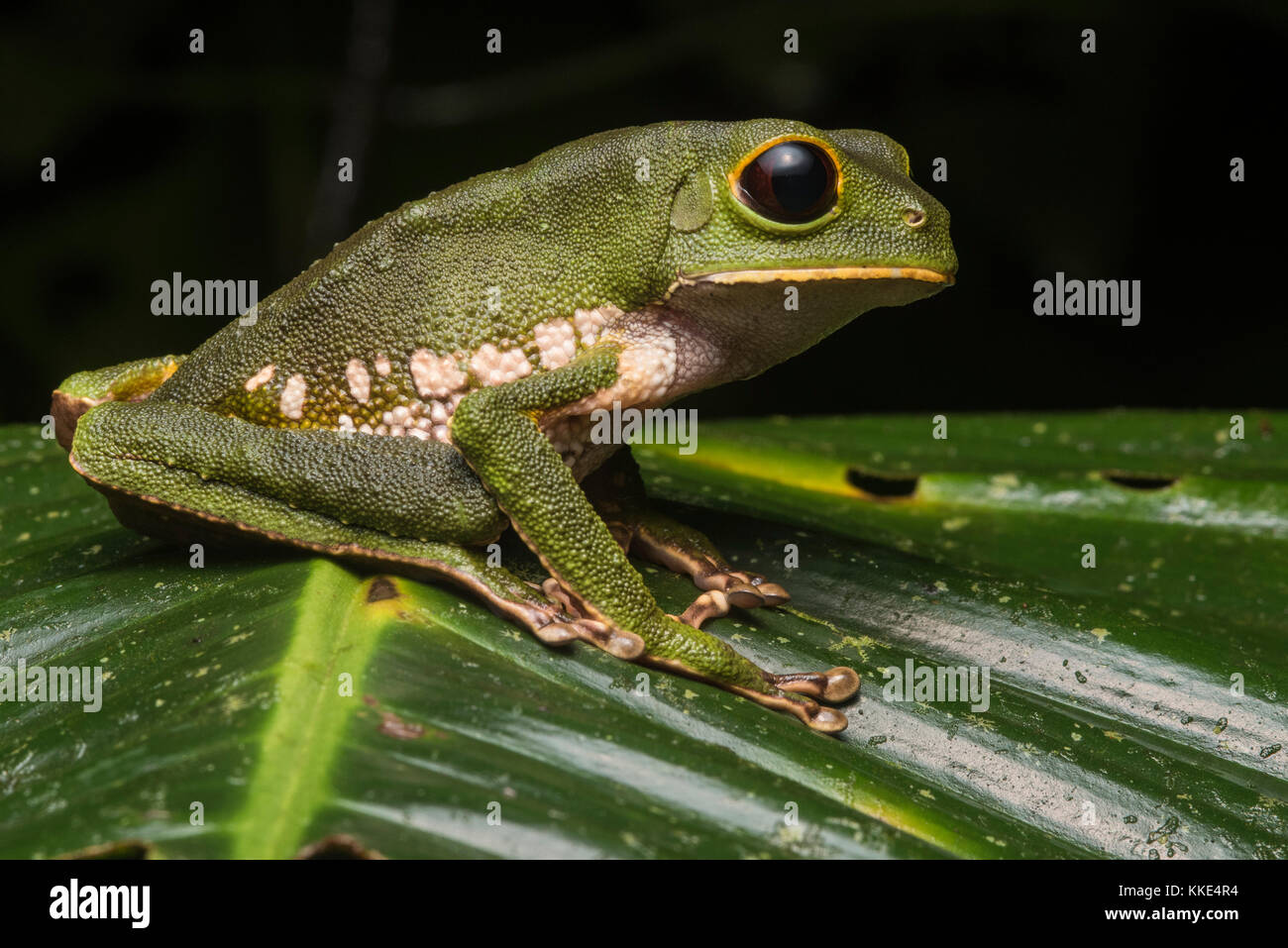 Eye level photograph hi-res stock photography and images - Alamy