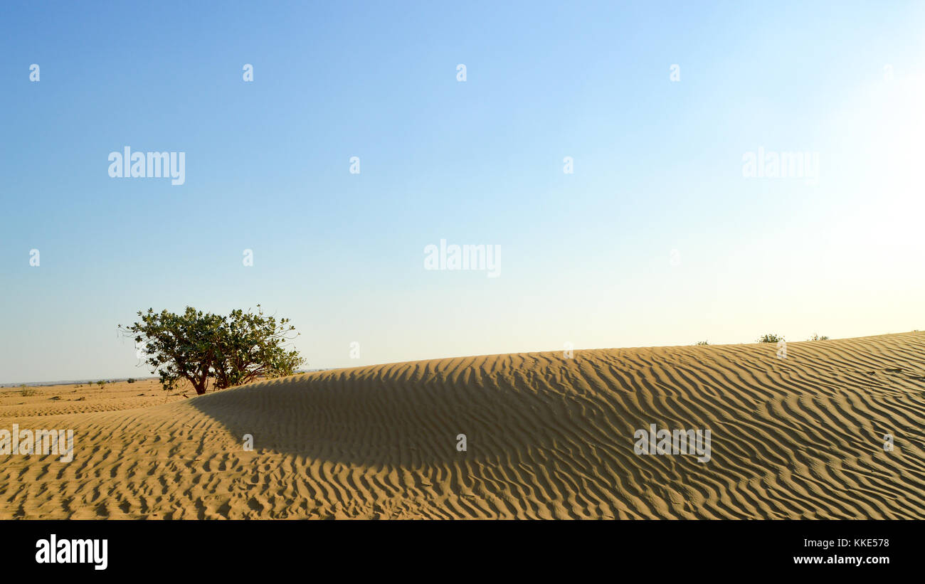 Middle eastern man desert dubai hi-res stock photography and images - Alamy