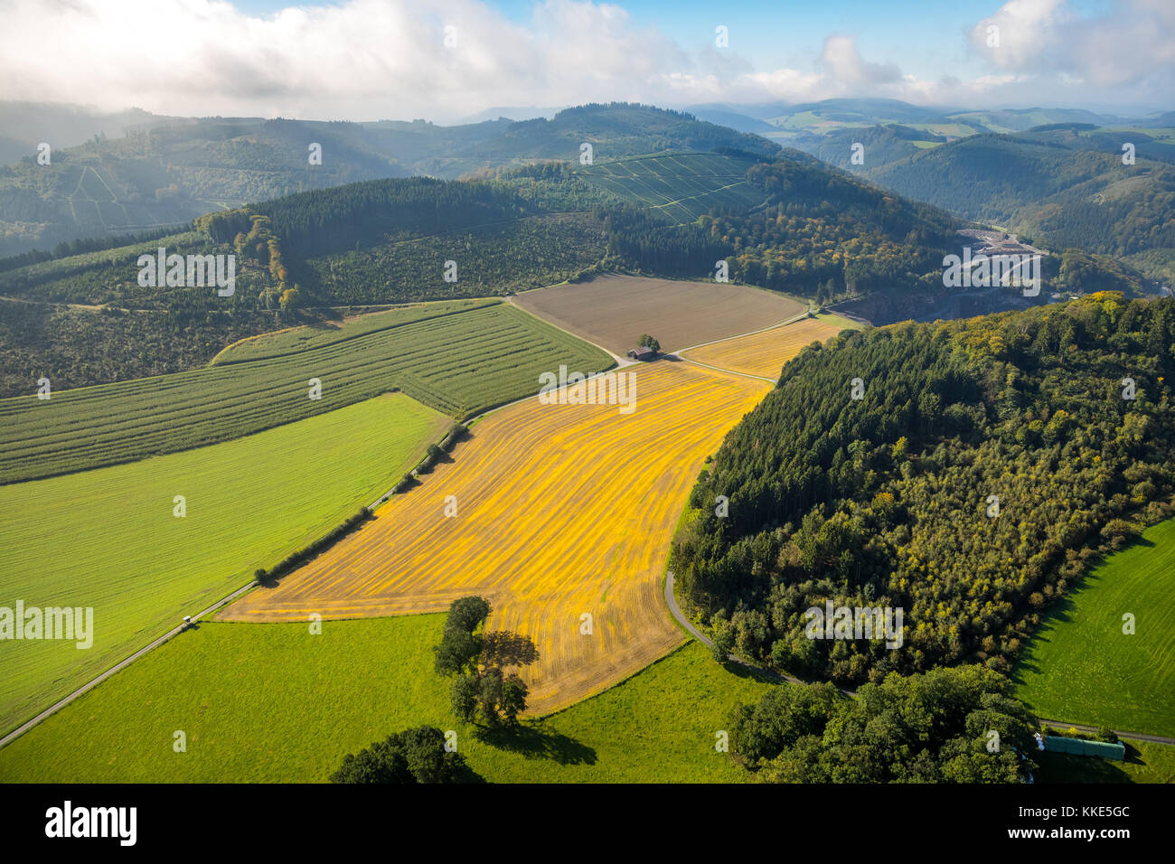 Wallenstein, dirt road, intersection of a dirt road, old barn made of ...