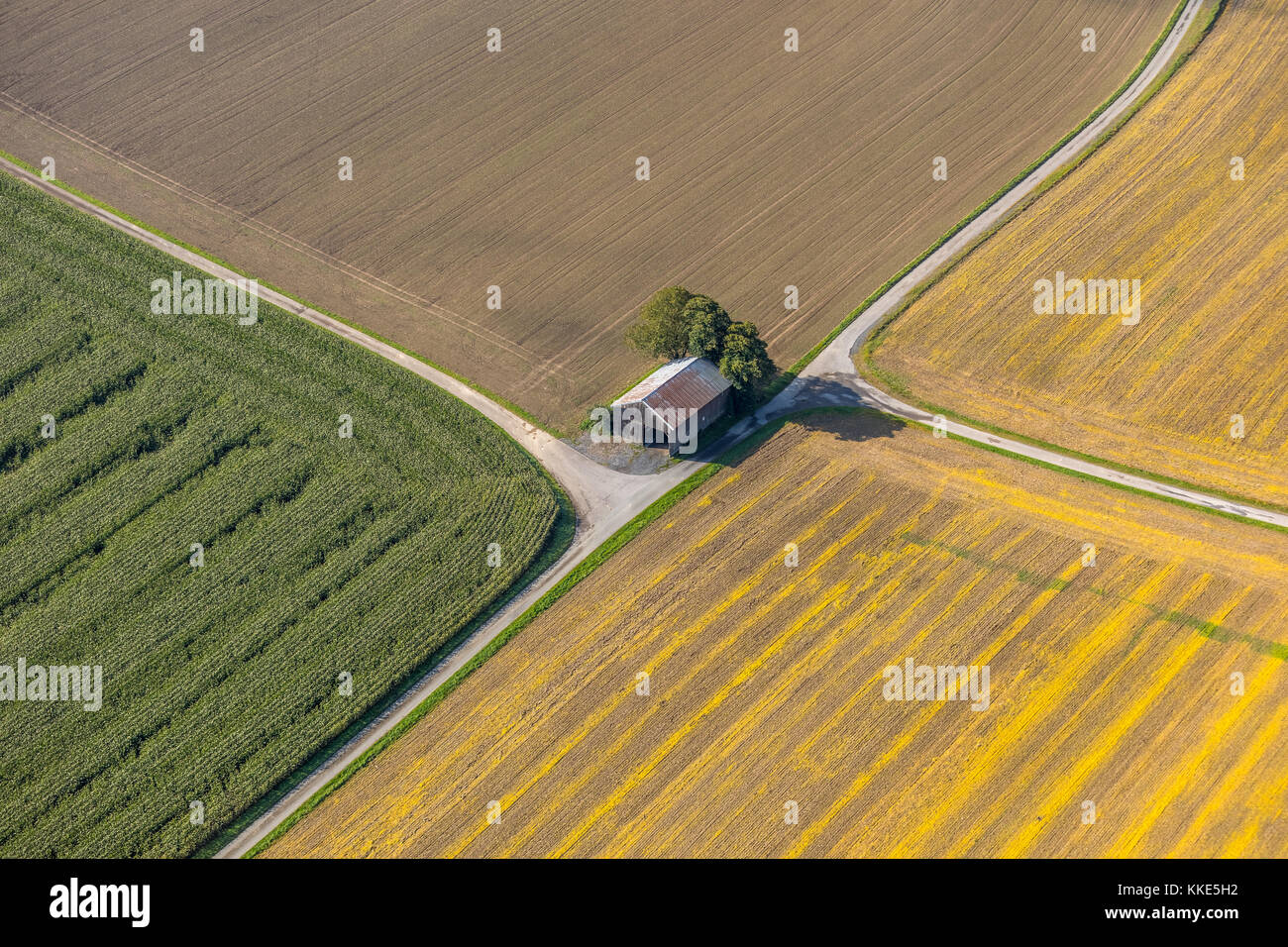 Wallenstein, dirt road, intersection of a dirt road, old barn made of ...