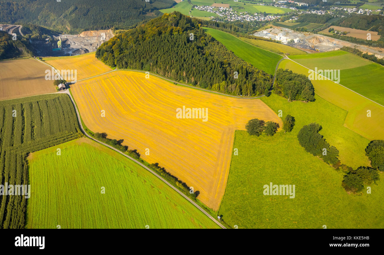 Wallenstein, dirt road, intersection of a dirt road, old barn made of ...