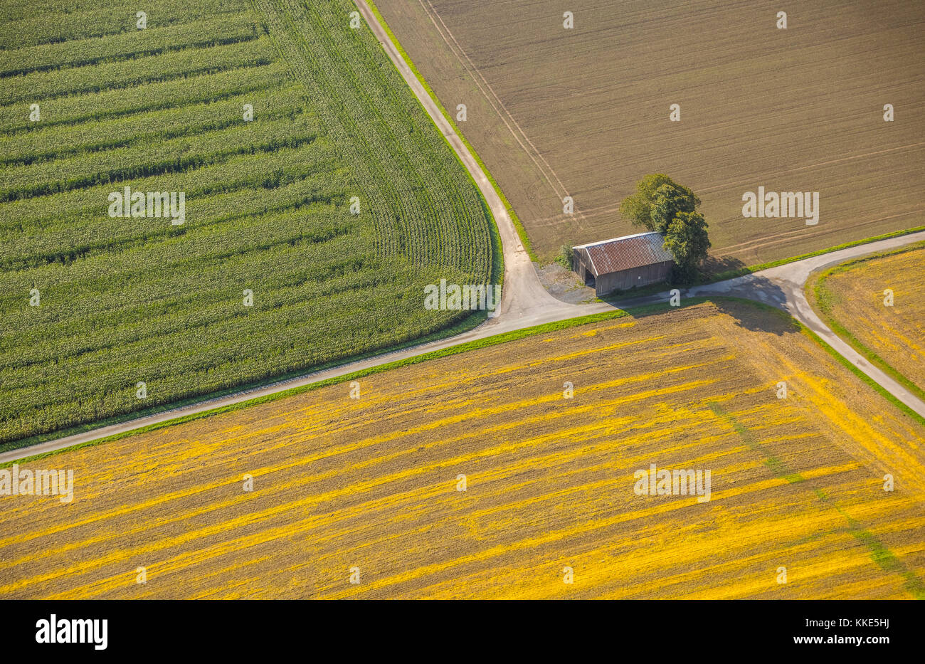 Wallenstein, dirt road, intersection of a dirt road, old barn made of ...