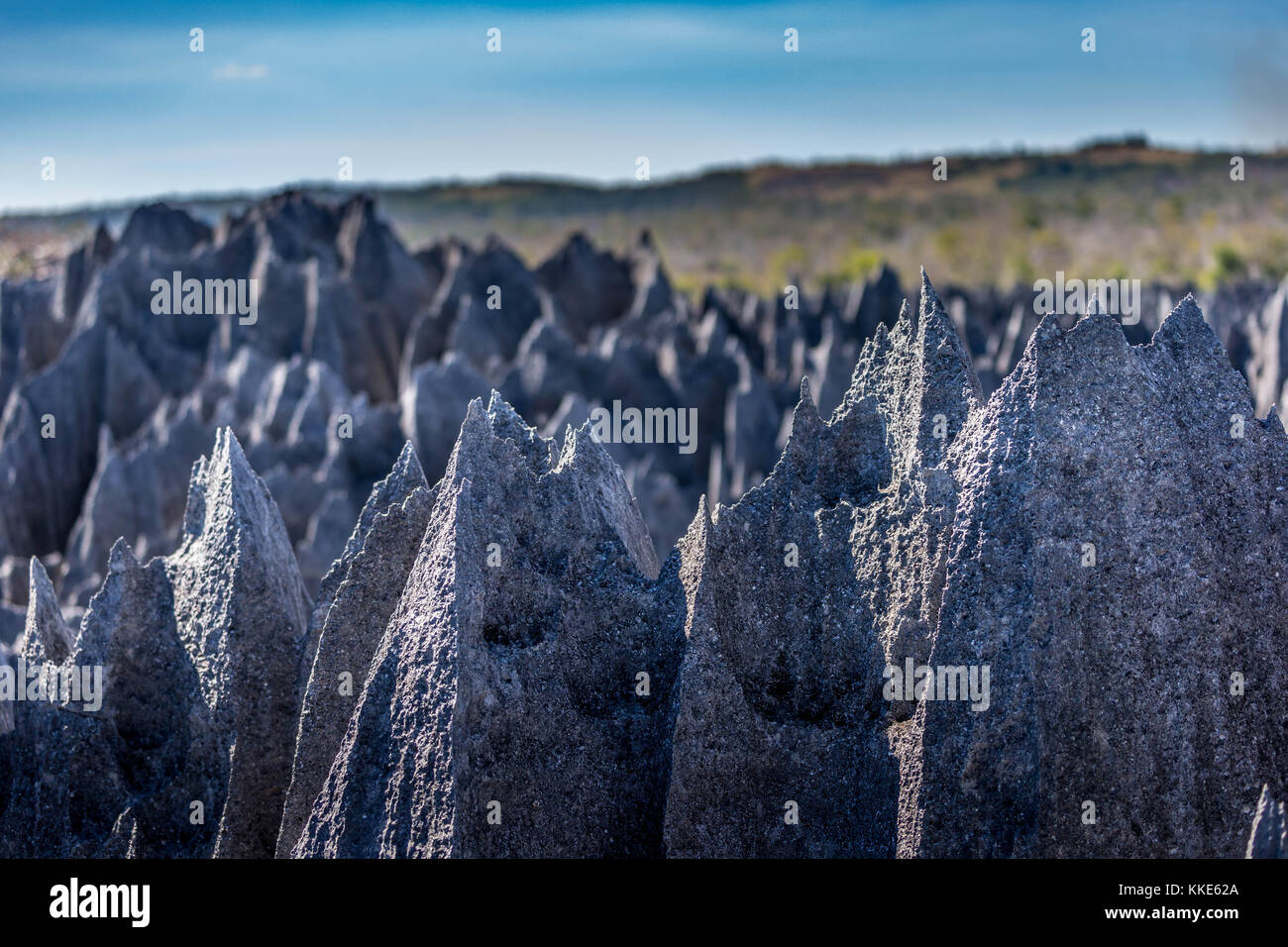 The great Tsingy de Bemaraha of Madagascar in the Tsingy de Bemaraha ...