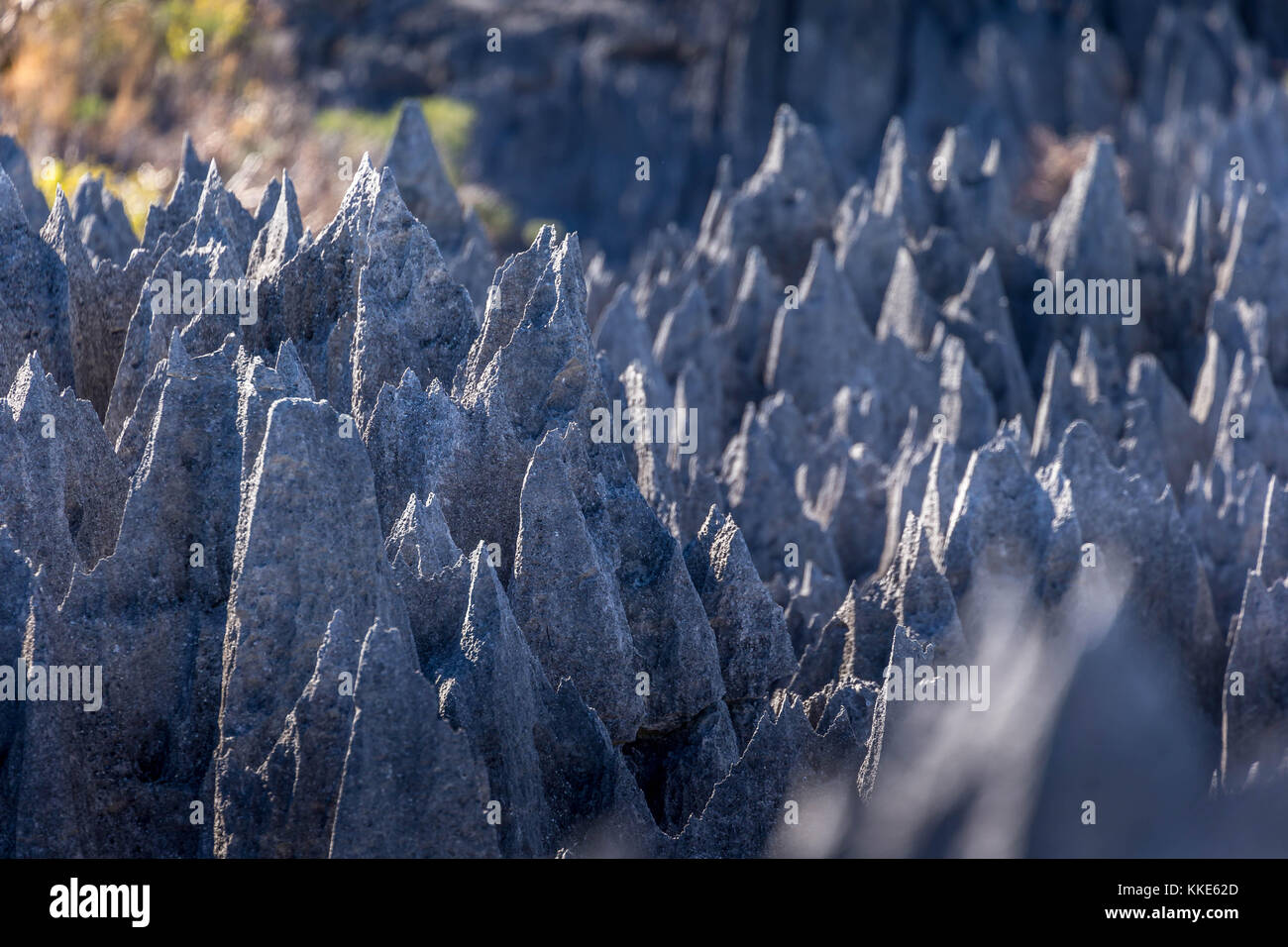 The great Tsingy de Bemaraha of Madagascar in the Tsingy de Bemaraha ...