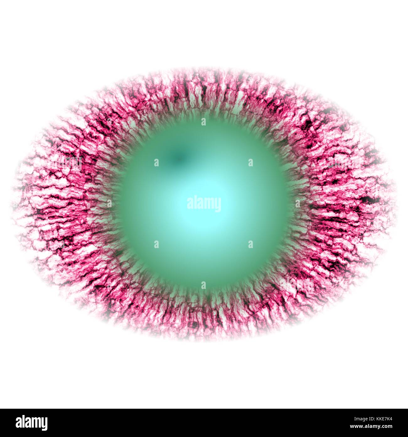 Rentgen photo. Isolated elliptic animal red eye with large pupil and ...