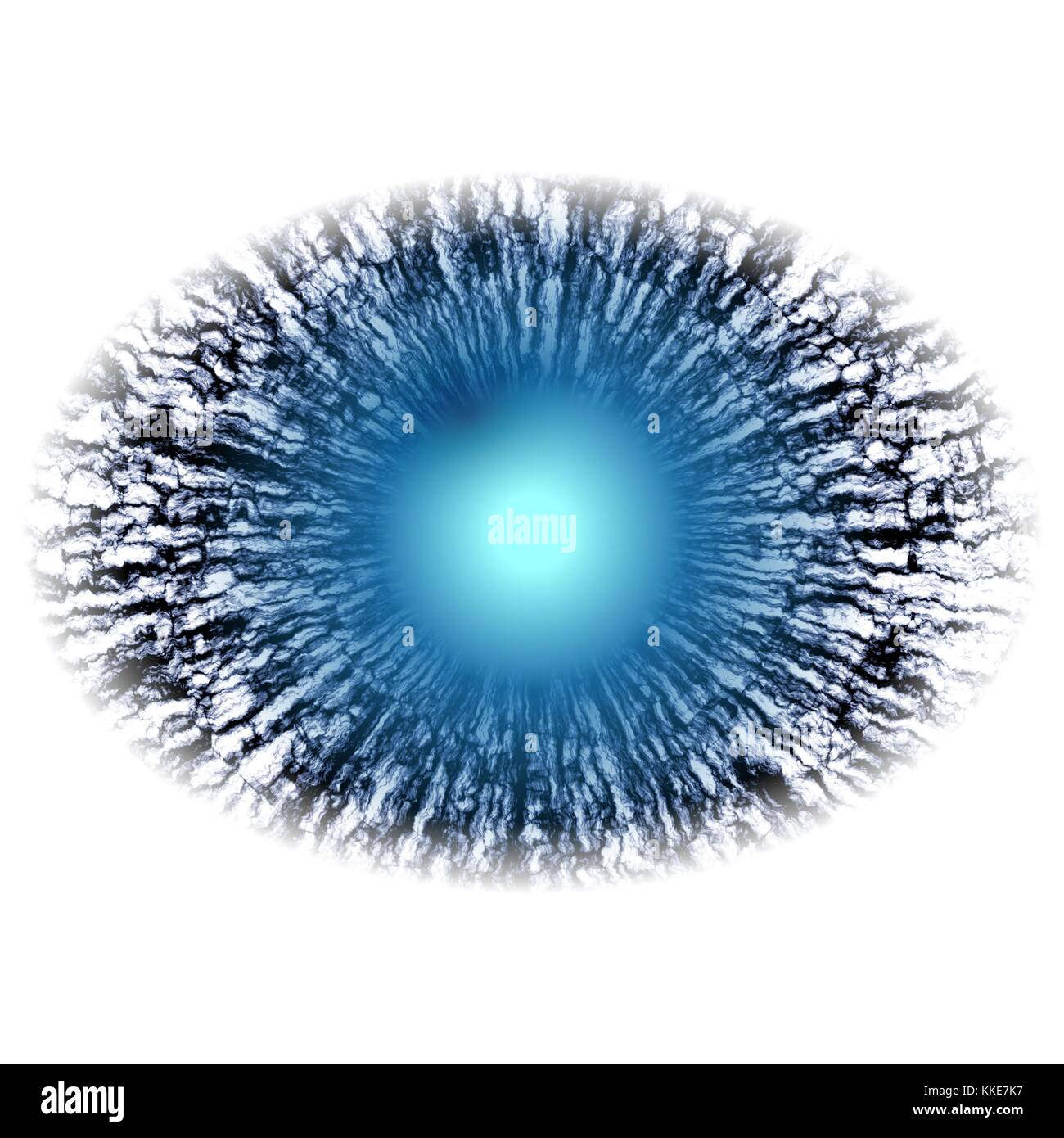 Eye RTG. Animal eye in rentgen photo with blue purple iris, light ...