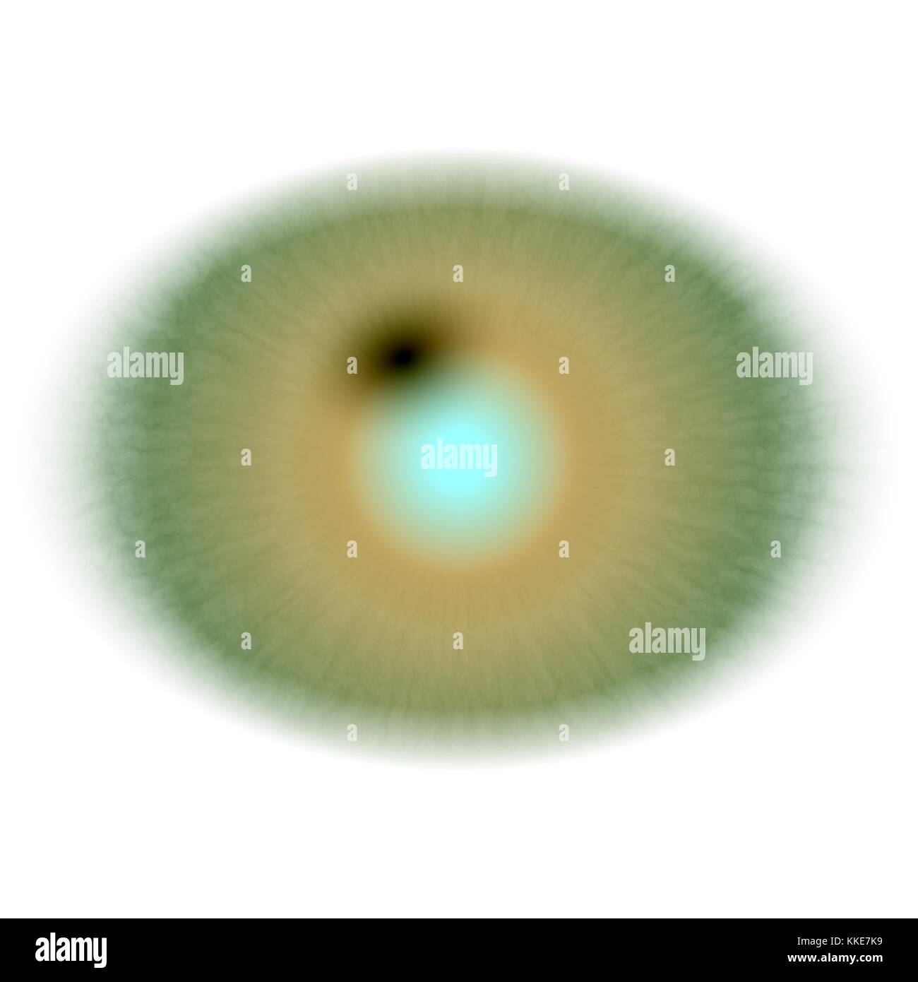 Green blurred eye, RTG of yellow green animal eye with open pupil and ...