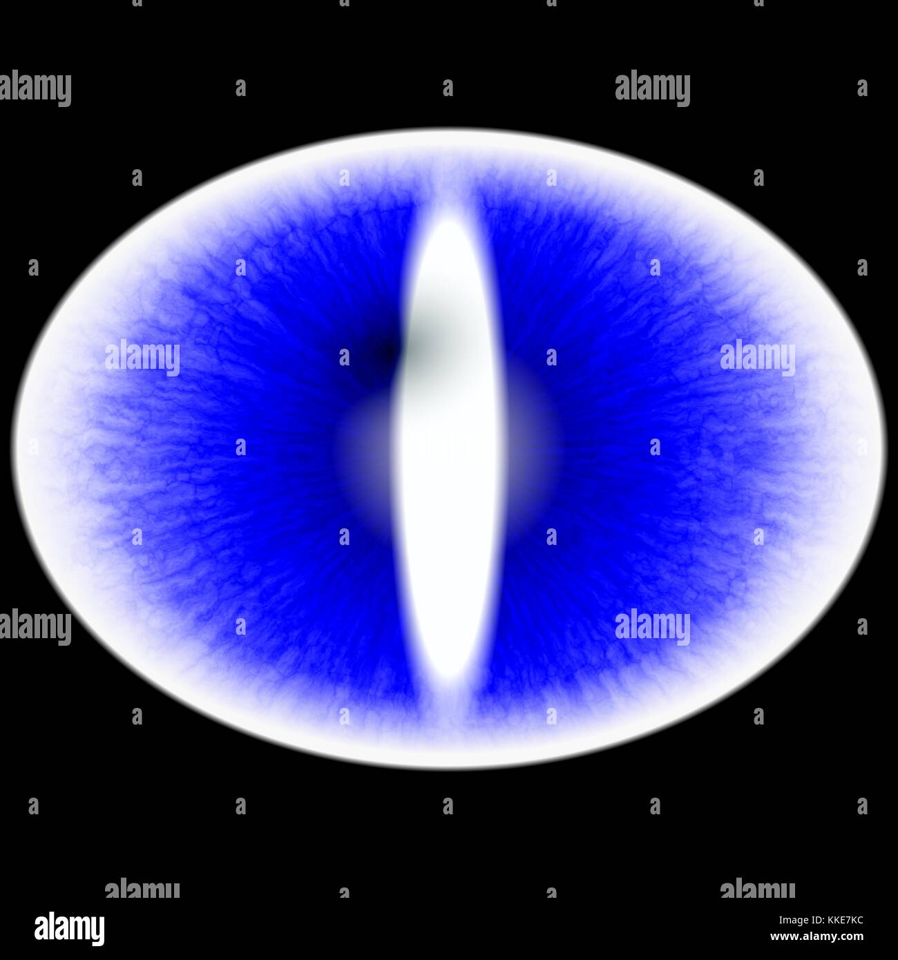 RTG photo of animal eye with open slim pupil and bright retina in ...