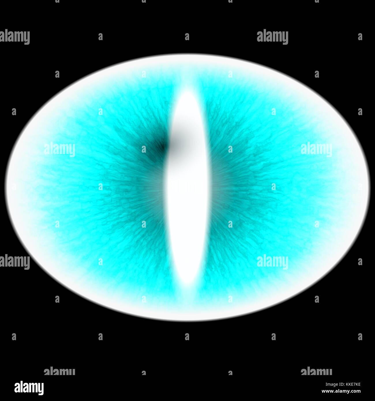 RTG photo of animal eye with open slim pupil and bright retina in ...