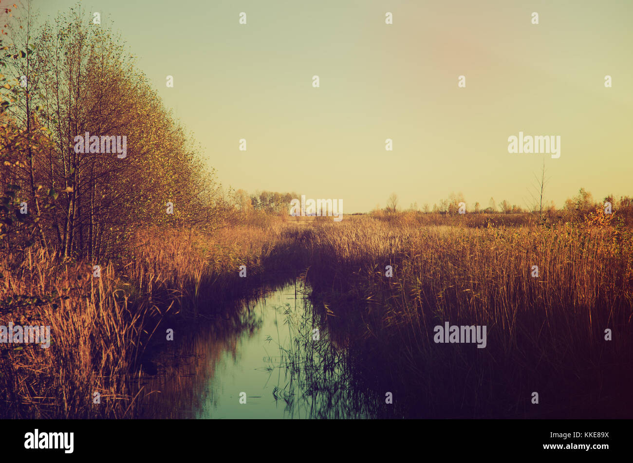 Rural autumn landscape Stock Photo - Alamy
