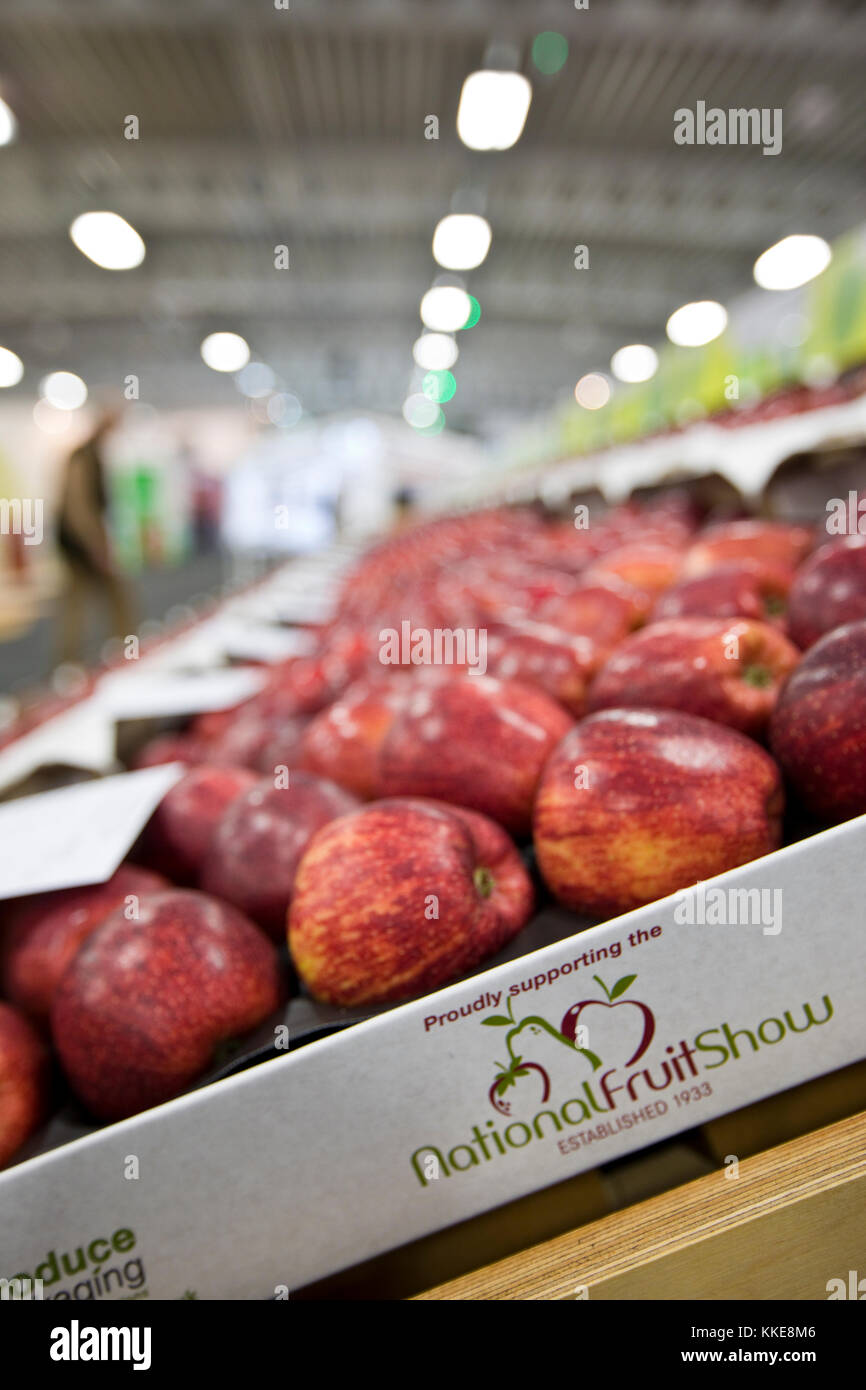 Red Apples at the National Fruit Show 2017, Detling, Kent Stock Photo ...
