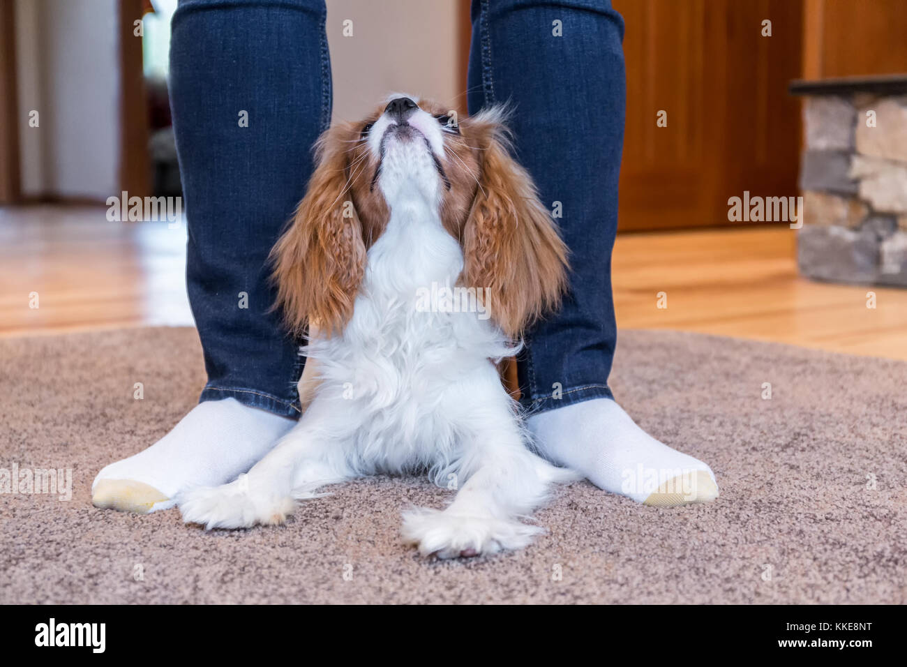 Between legs woman hi-res stock photography and images - Alamy