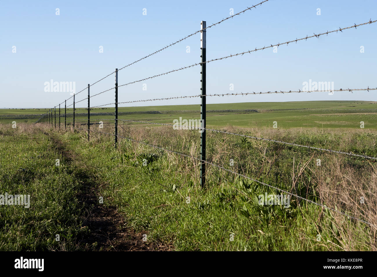 Rustic fence on a farm with barbed wire strands on metal droppers ...