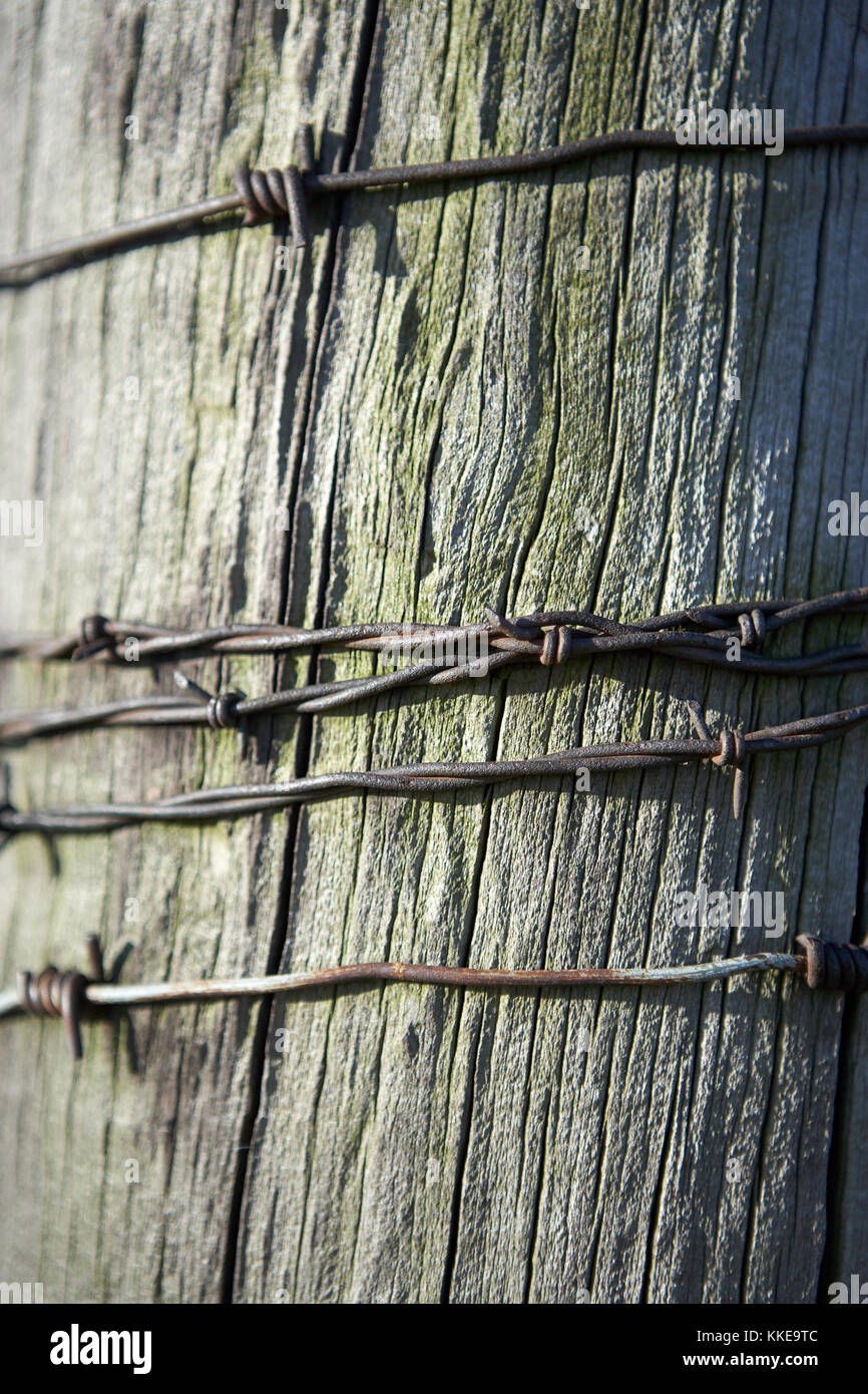 Weathered old wooden fence post with barbed wire hi-res stock ...